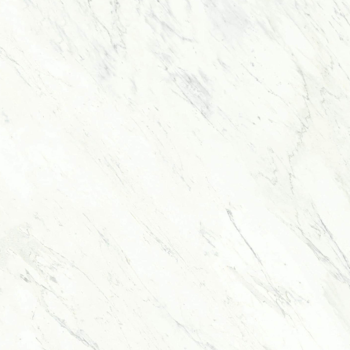 Magnifica Luxe White Porcelain in 1/4" – Coliseum Tile