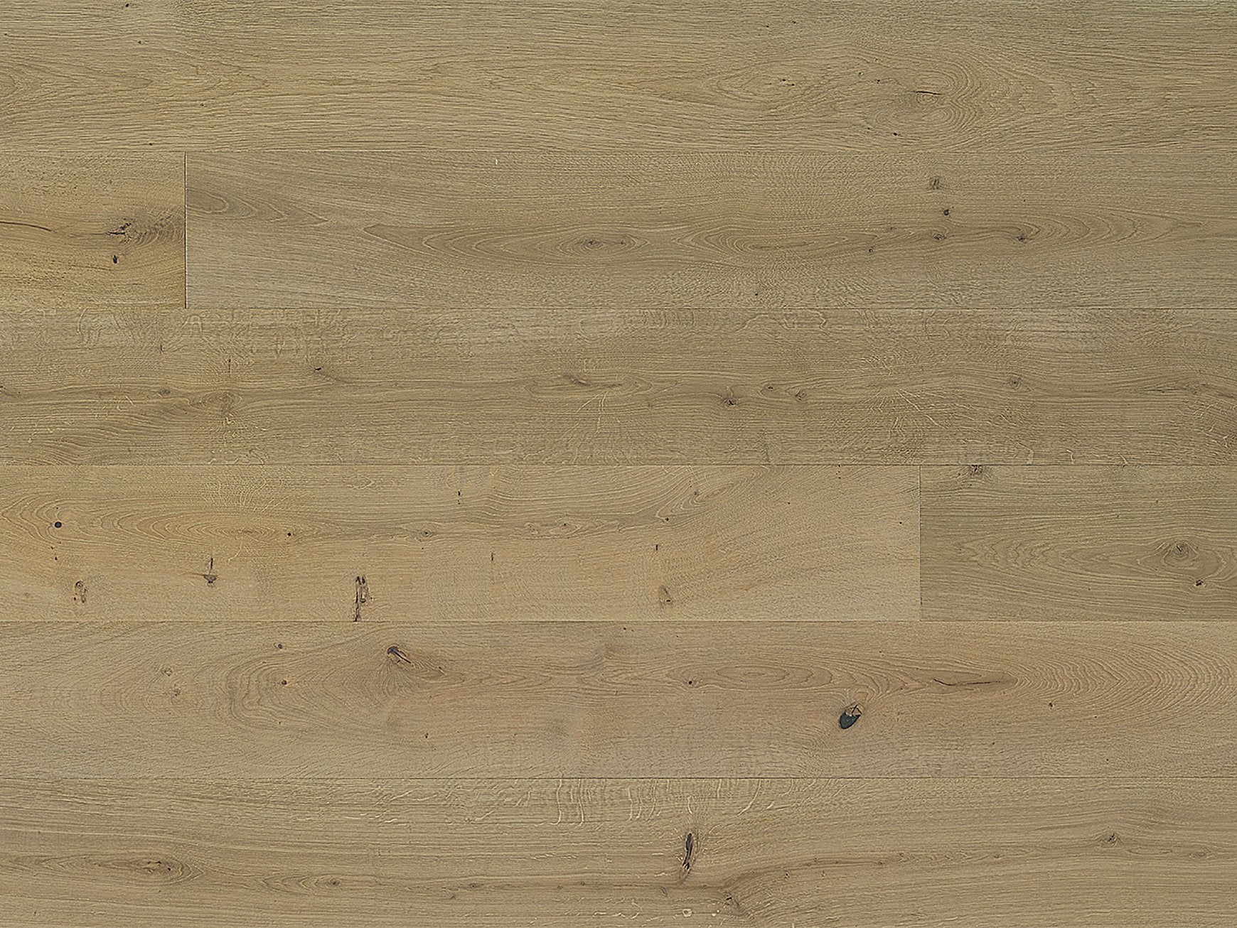 Domaıne Carnelle Hardwood Flooring – Coliseum Tile