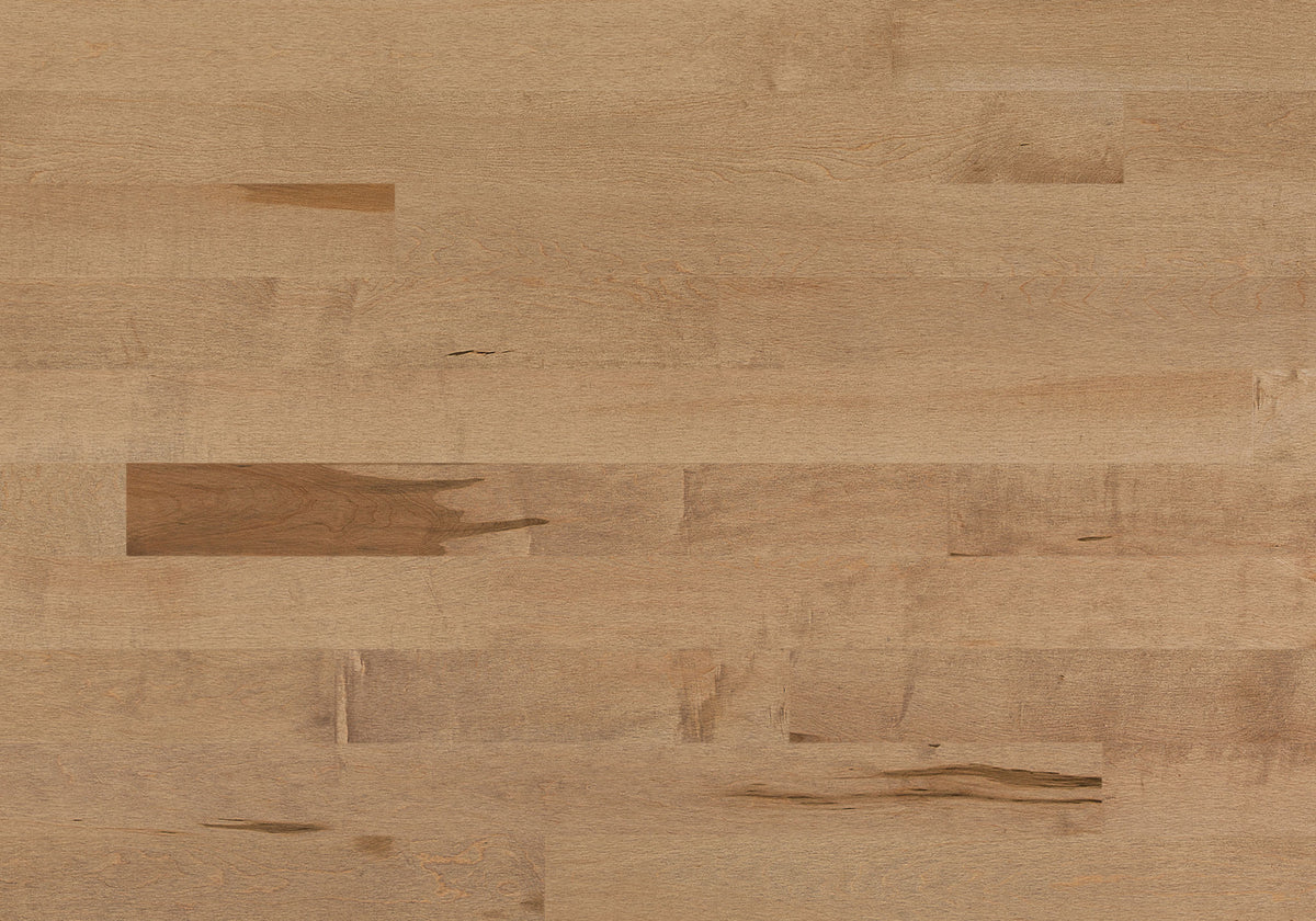 Fossıl Hardwood Flooring – Coliseum Tile