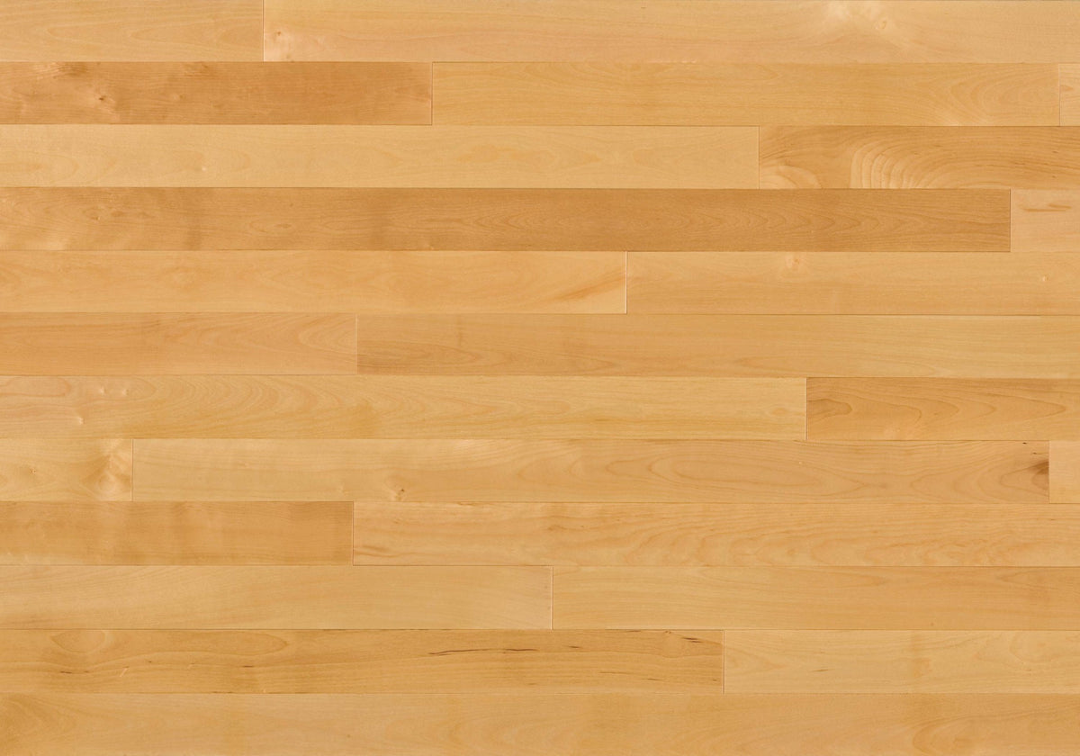 Natural Yellow Birch – Coliseum Tile